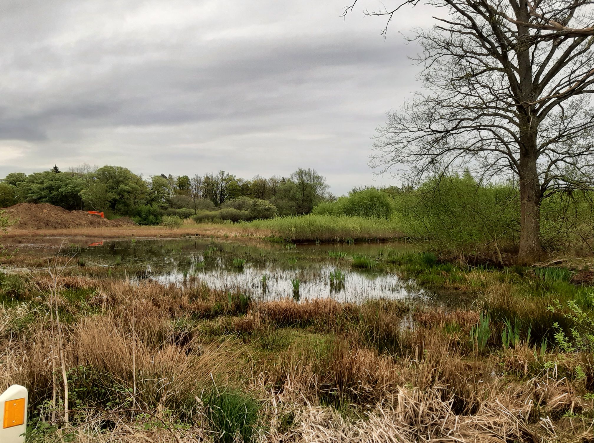 Weerman Samuel: "Zo zal het weer met Pasen eruit zien"