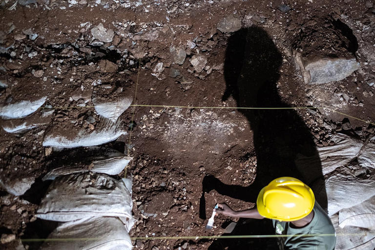 Photos: South Africa's 'cradle of humankind' caves reopen to public