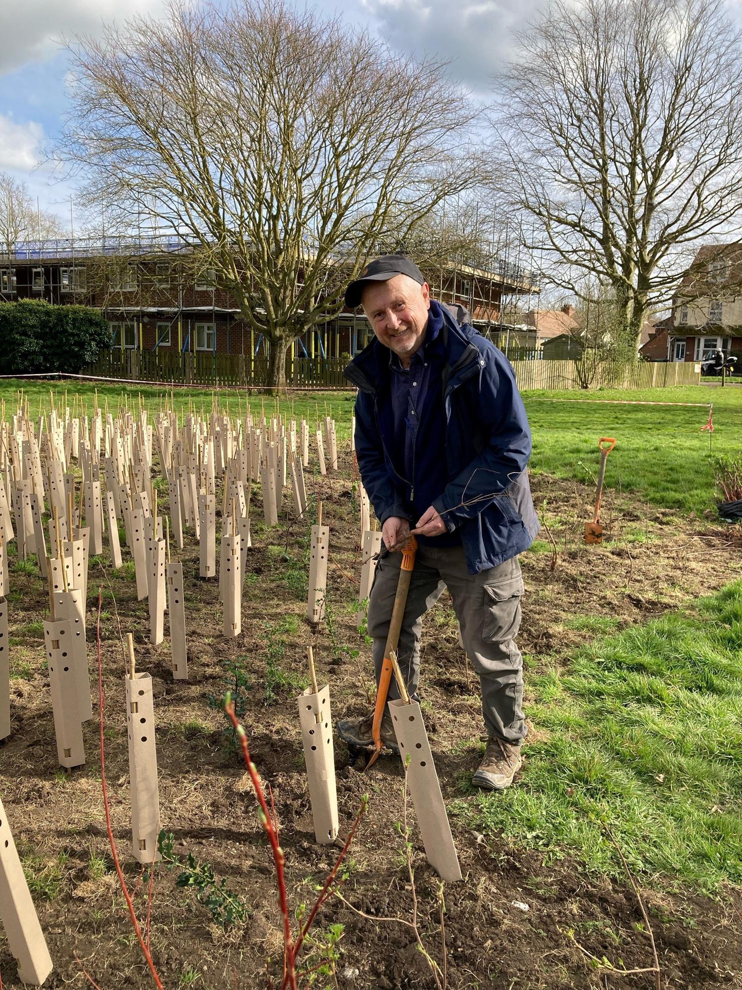 1,000 trees planted in Rye micro wood project