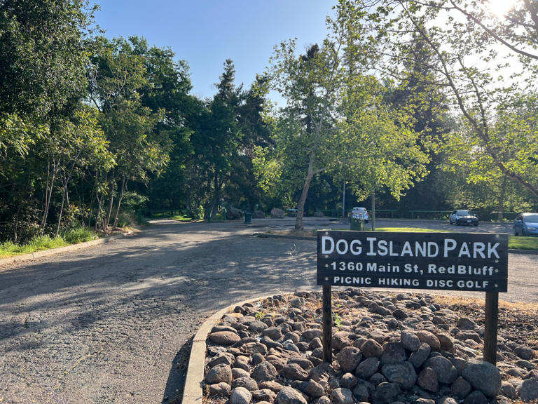 No reprieve for the homeless at Sam Ayers Park