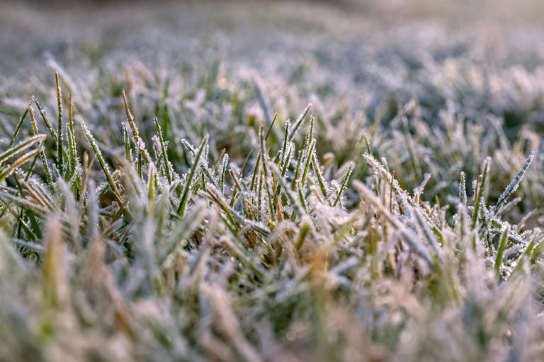 Weather Words: Frost Line
