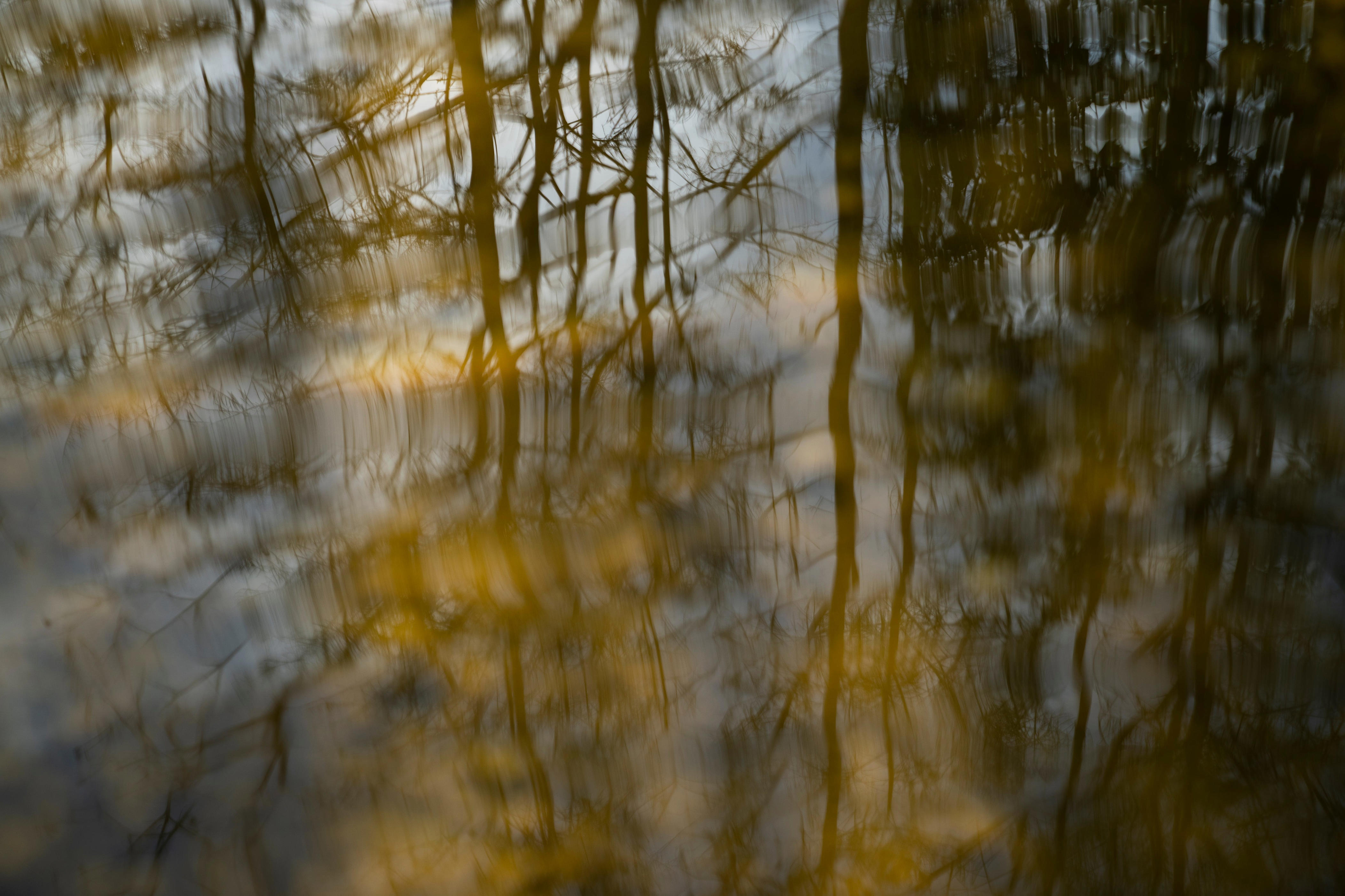 From the Archives: Big Cypress National Preserve turns 51