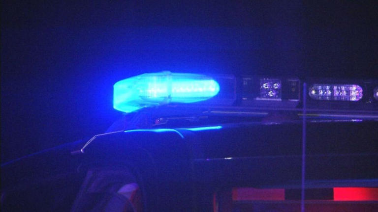 Police say potential explosive device found during Newcastle traffic stop