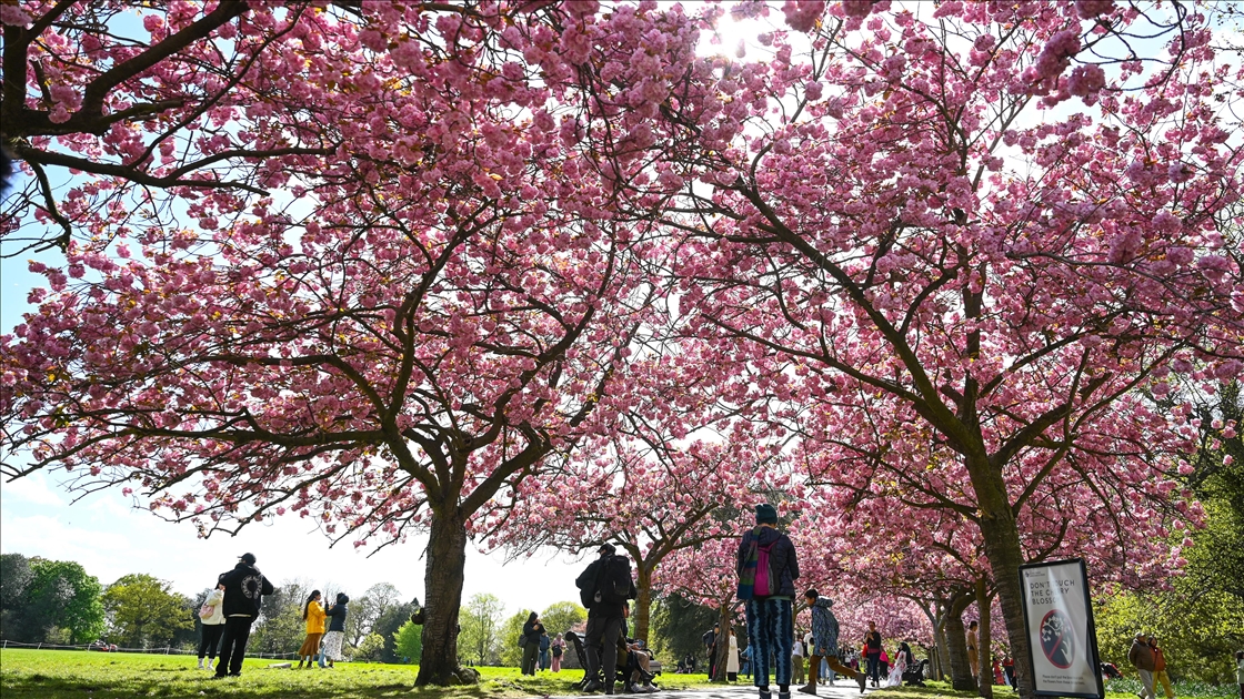 Londra'da ilkbahar