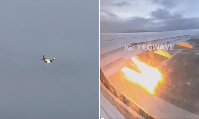 Plane makes emergency landing after rabbit gets sucked into engine