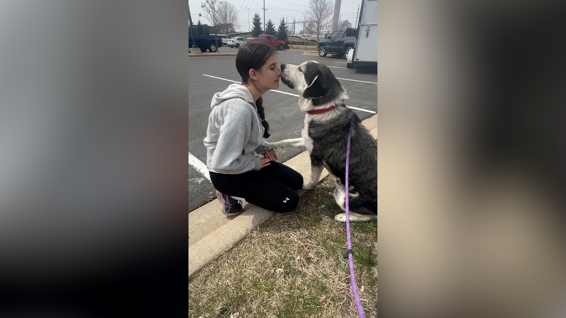 Mom Vows To No More Dogs, Then Her Daughter Meets The Perfect One