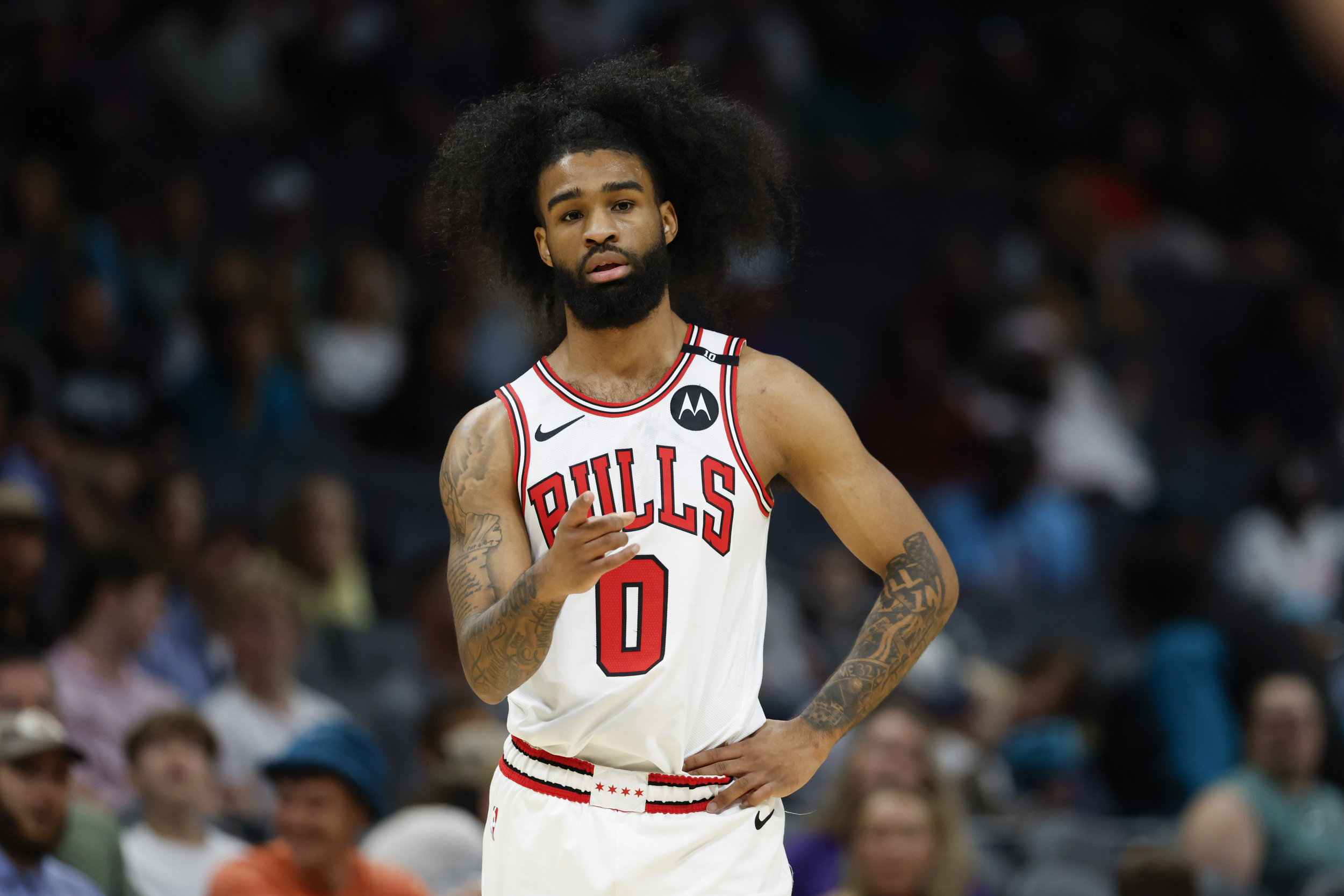 Despite elimination, Bulls have formed an elite backcourt for the future