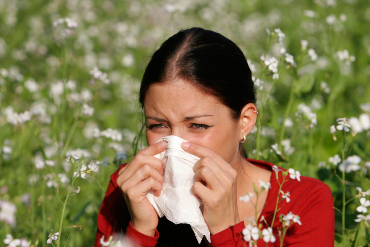 Hay fever warning: Find out which regions will be worst hit as pollen ...
