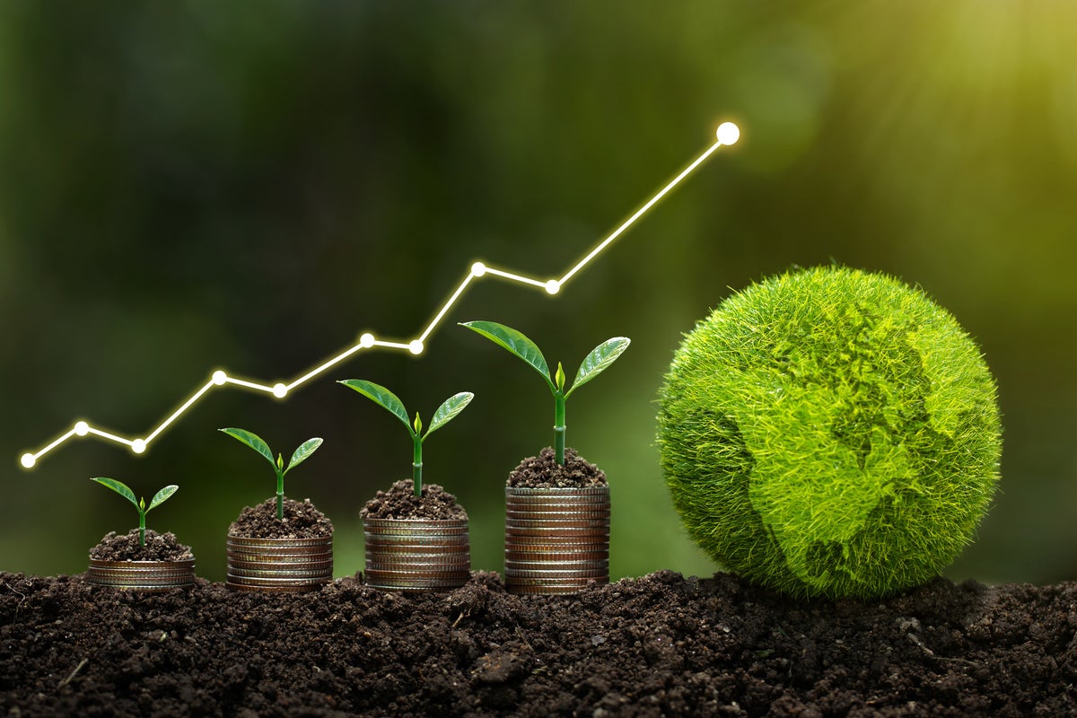 What is sustainable investing and how can money support green issues?