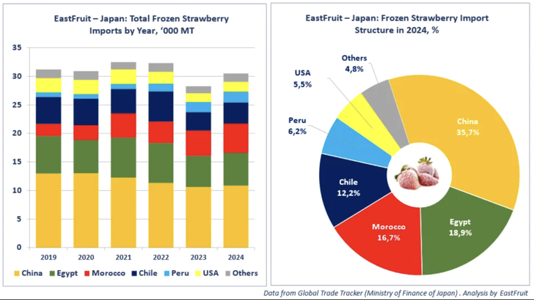 Morocco sets record for frozen strawberry exports to Japan
