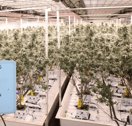 OBN seizes 350 lbs. of marijuana in Oklahoma City, Bethany