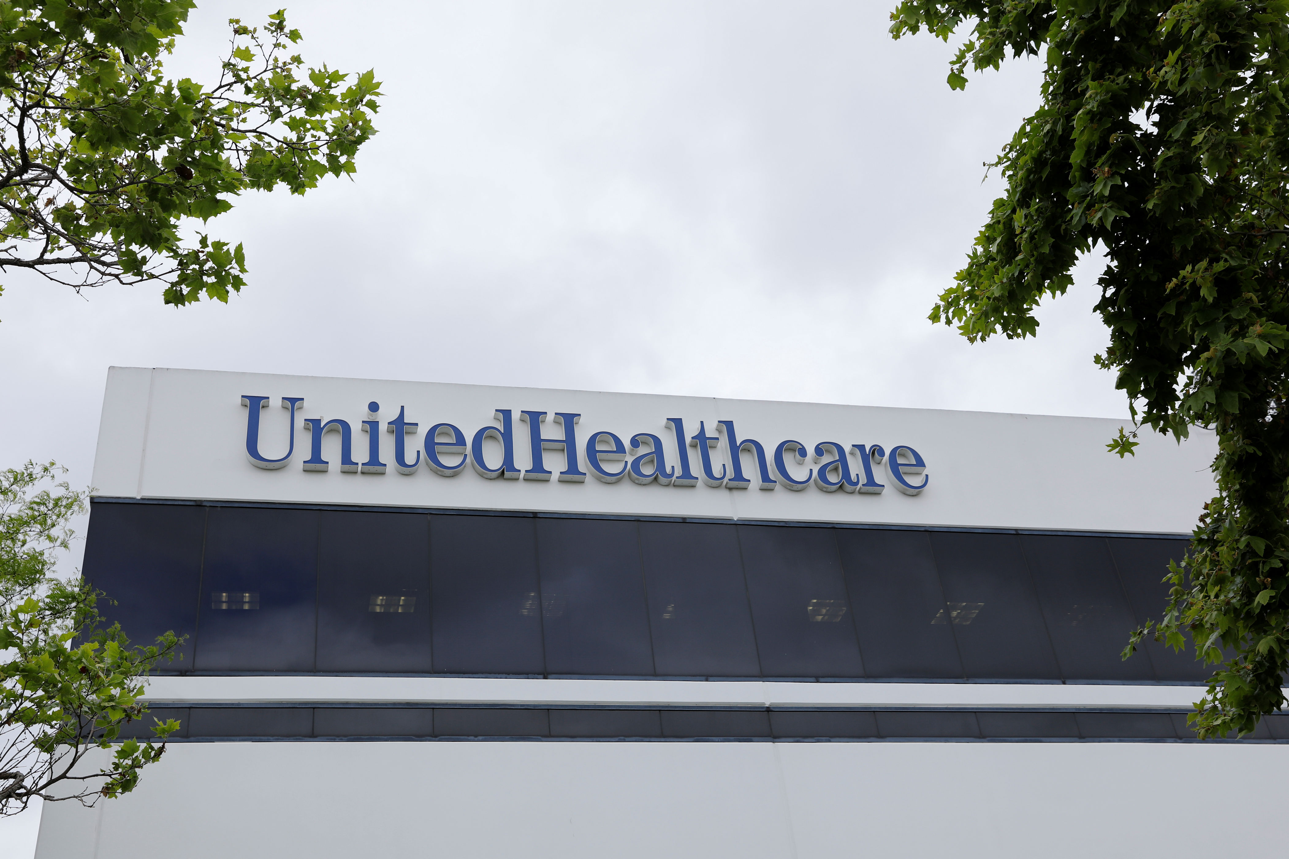 UnitedHealth stock craters as CEO calls disappointing results 'unusual ...