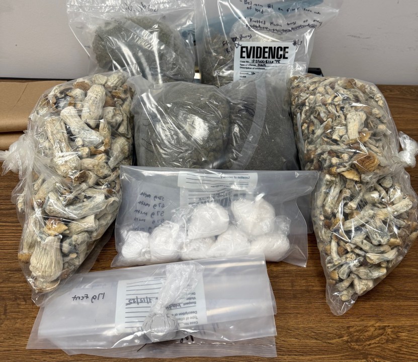 IMPD: Police seize 7,000+ grams of drugs, 9 firearms, cash during ...