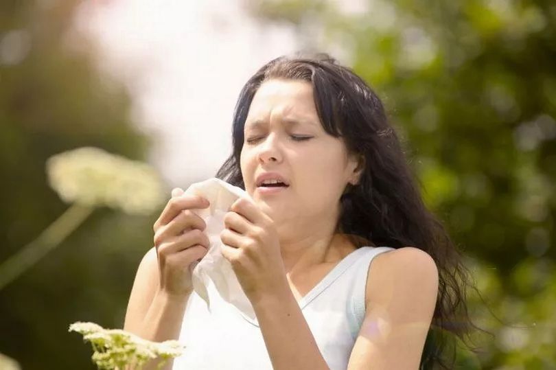 'Very high' pollen warning issued for Leicestershire as levels soar ...