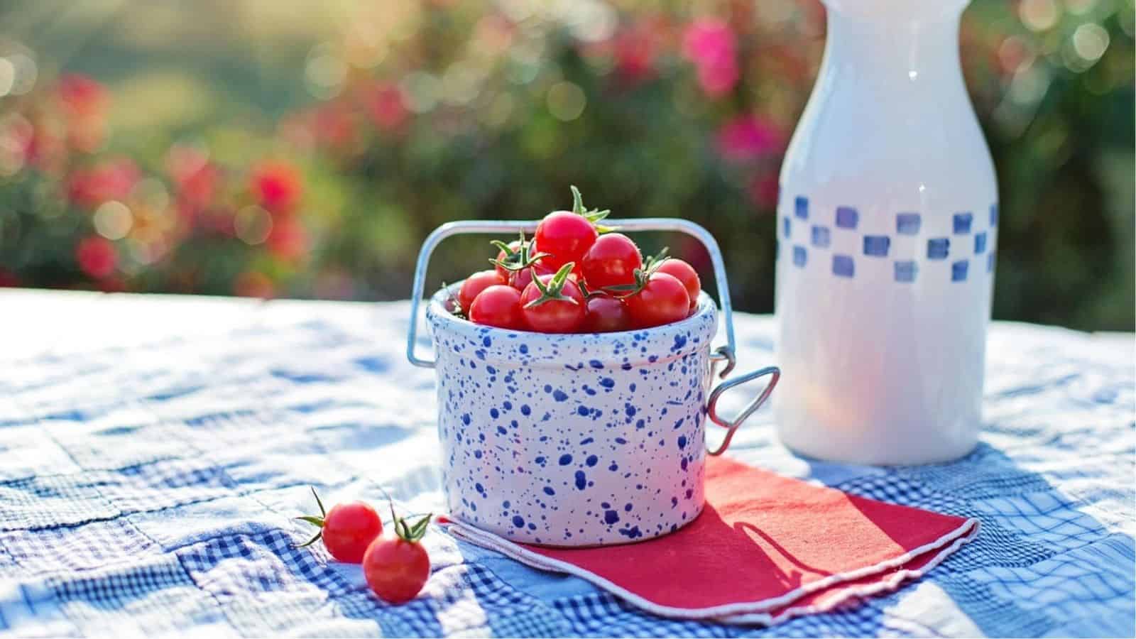 10 High-Yield Vegetables Perfect for Container Gardening