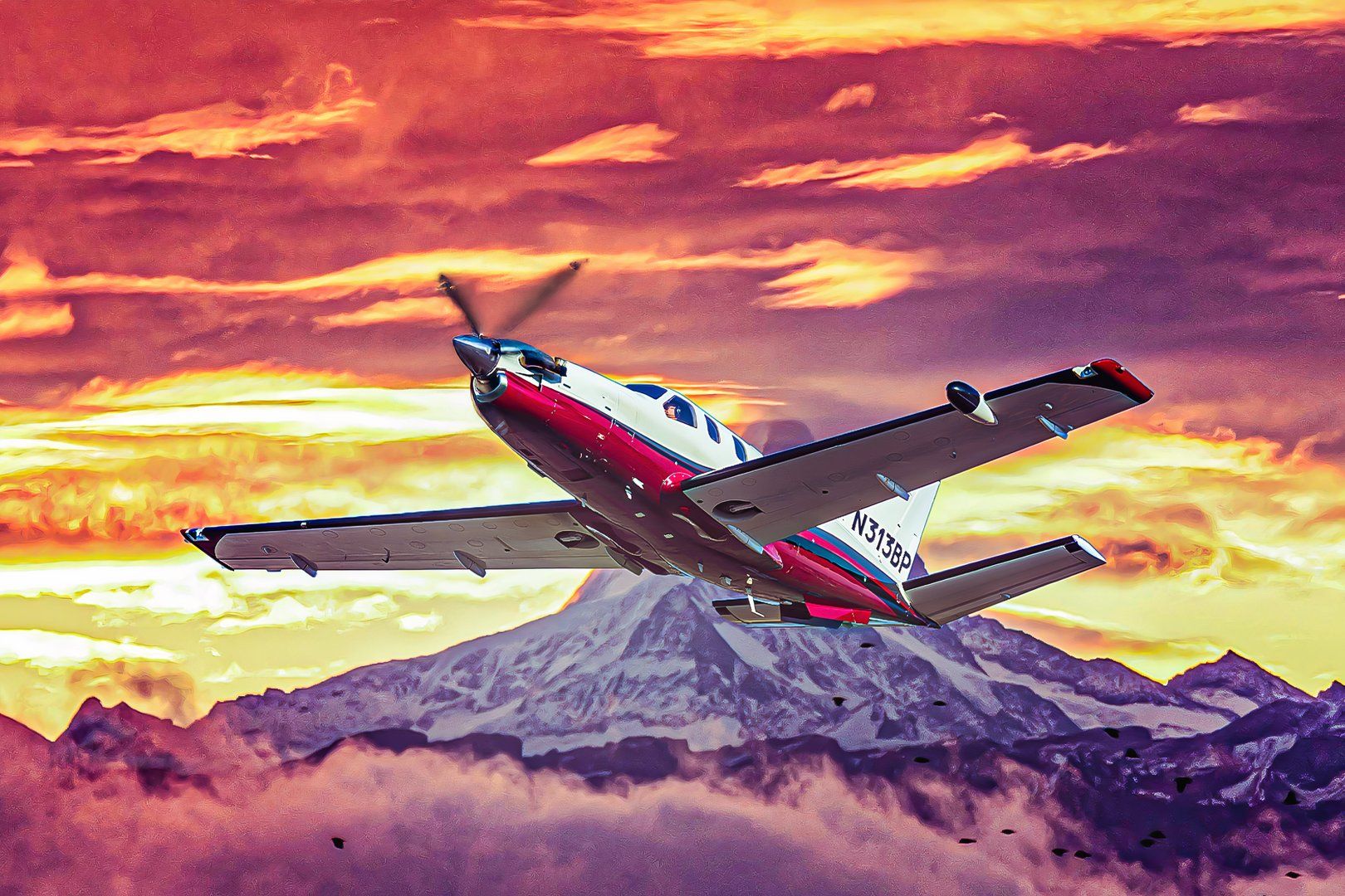 What Makes The Daher TBM Series So Popular?