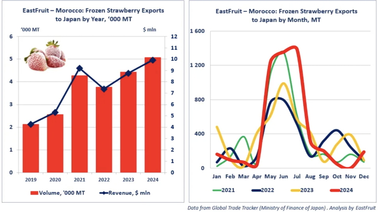 Morocco sets record for frozen strawberry exports to Japan