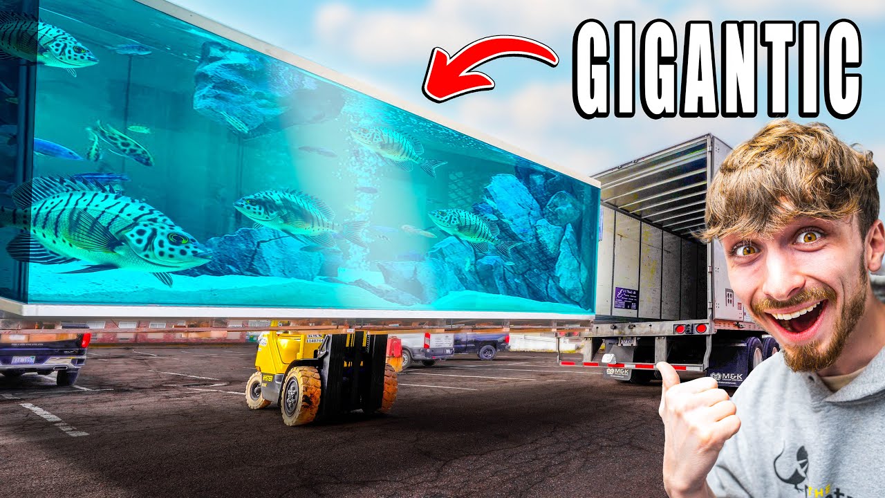 Giant aquarium arrives... then everything changes
