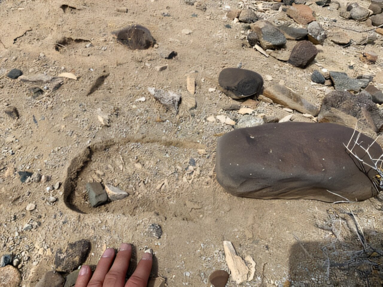 Strong shaking at fault stepover has rocks—briefly—defying gravity