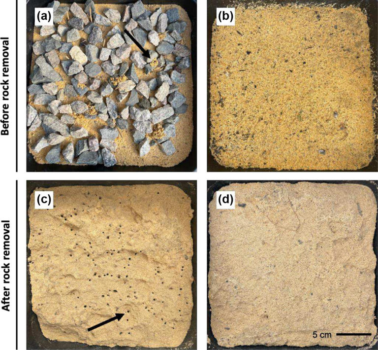 Most bees nest in the ground—offering rocks and gravel is a simple way ...