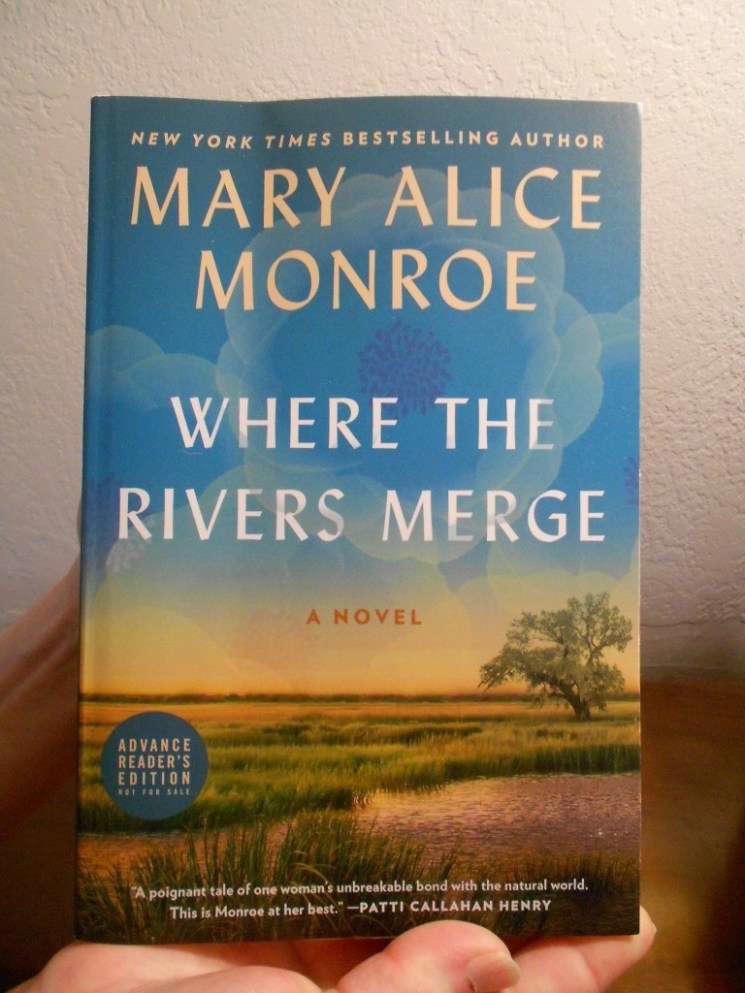 Why You'll Want to Read Where The Rivers Merge