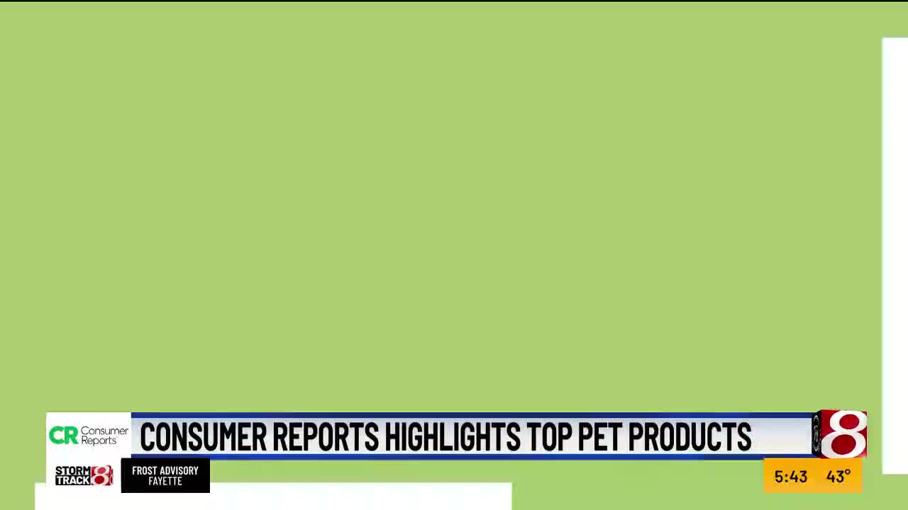 How to notice and avoid pet product scams