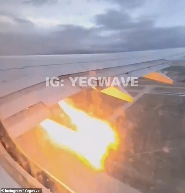 Plane makes emergency landing after rabbit gets sucked into engine