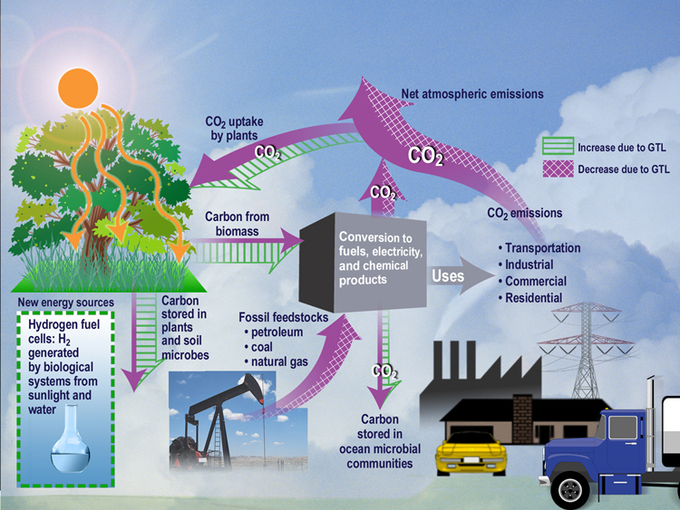 Computer Models and Climate Change Forecasting