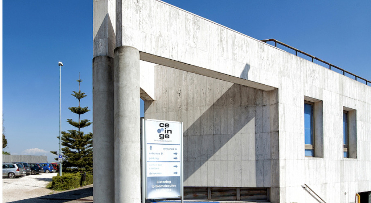 Invecchiare in salute: un prelievo di sangue per prevenire il ...