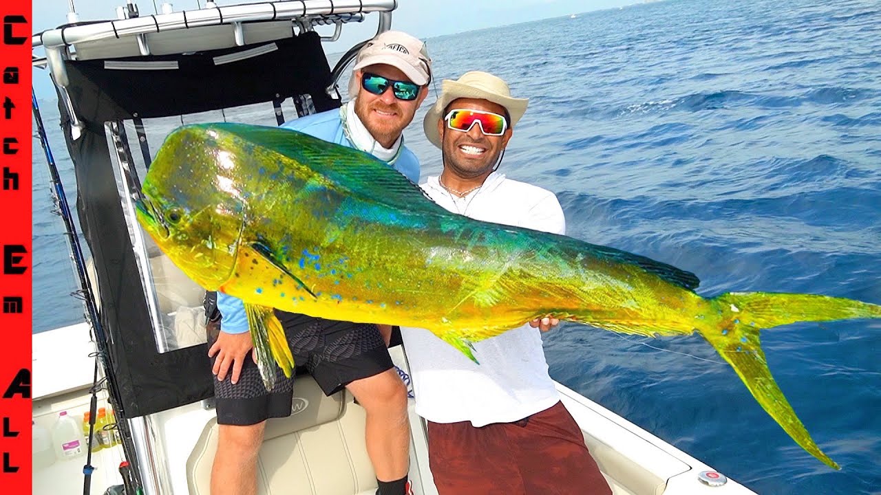 FISHING for MASSIVE RAINBOW MAHI in Florida!