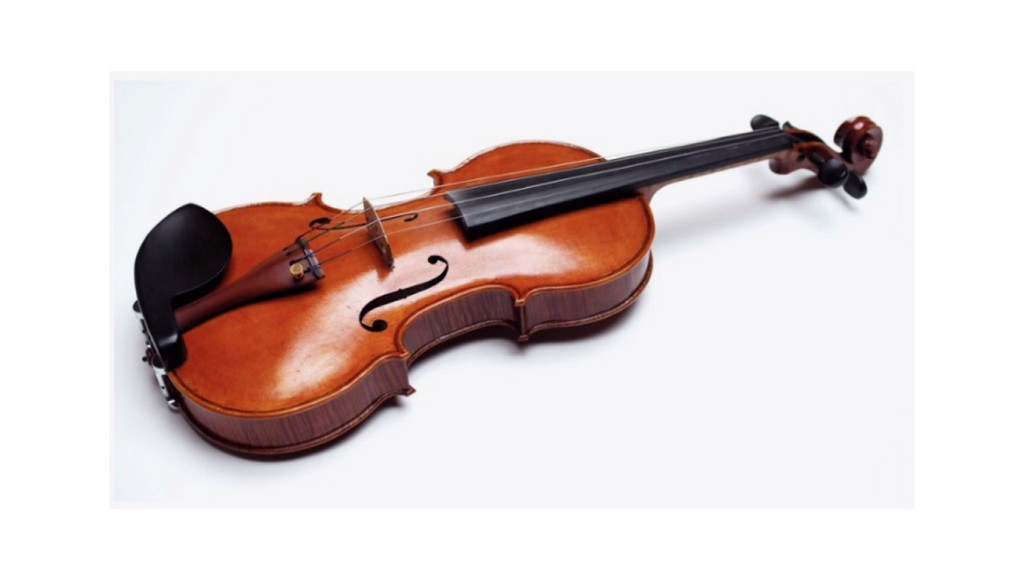 Man charged in robbery of $10,000 violin stolen on Blue Line train in ...