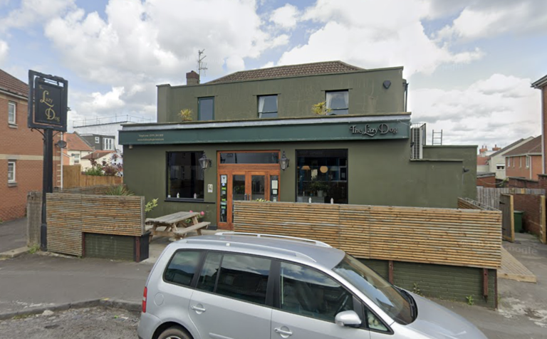 I've picked Bristol's most dog-friendly pubs to enjoy a pint after a ...