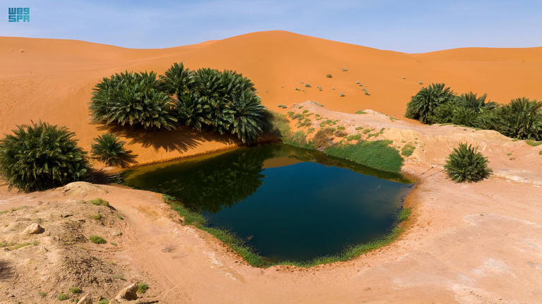 Photos: Saudi Arabia's North Riyadh Geopark, Salma Geopark join UNESCO ...