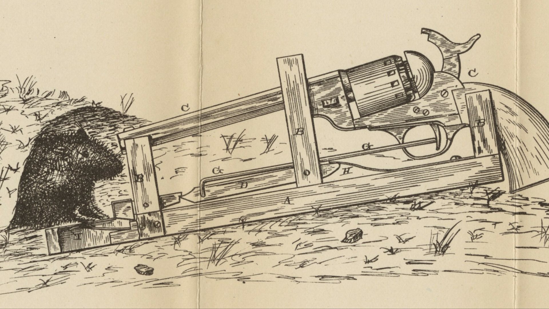 20 Wild Inventions The World Forgot