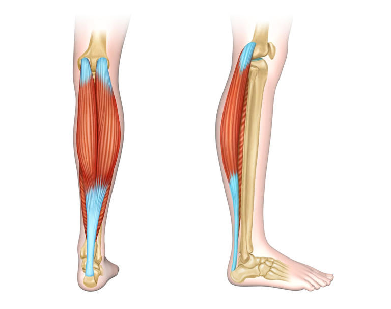 The Best Calf Exercises and Workouts to Build Strength and Size