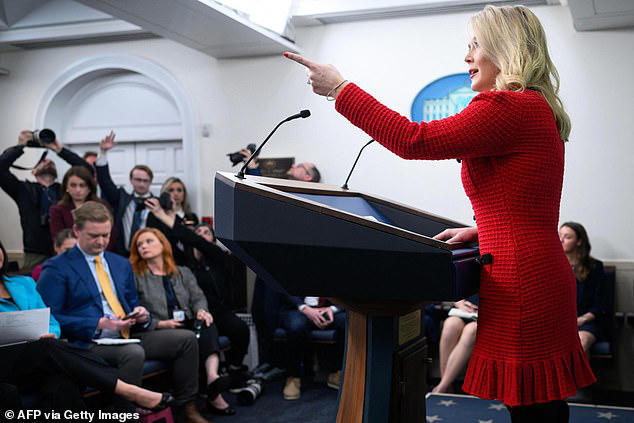 White House critics seize on key detail of Karoline Leavitt's dress
