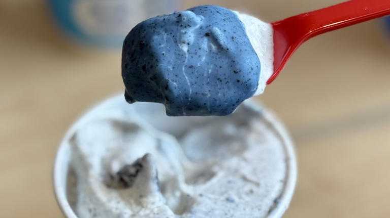 20 Dairy Queen Blizzard Flavors Ranked Worst To Best
