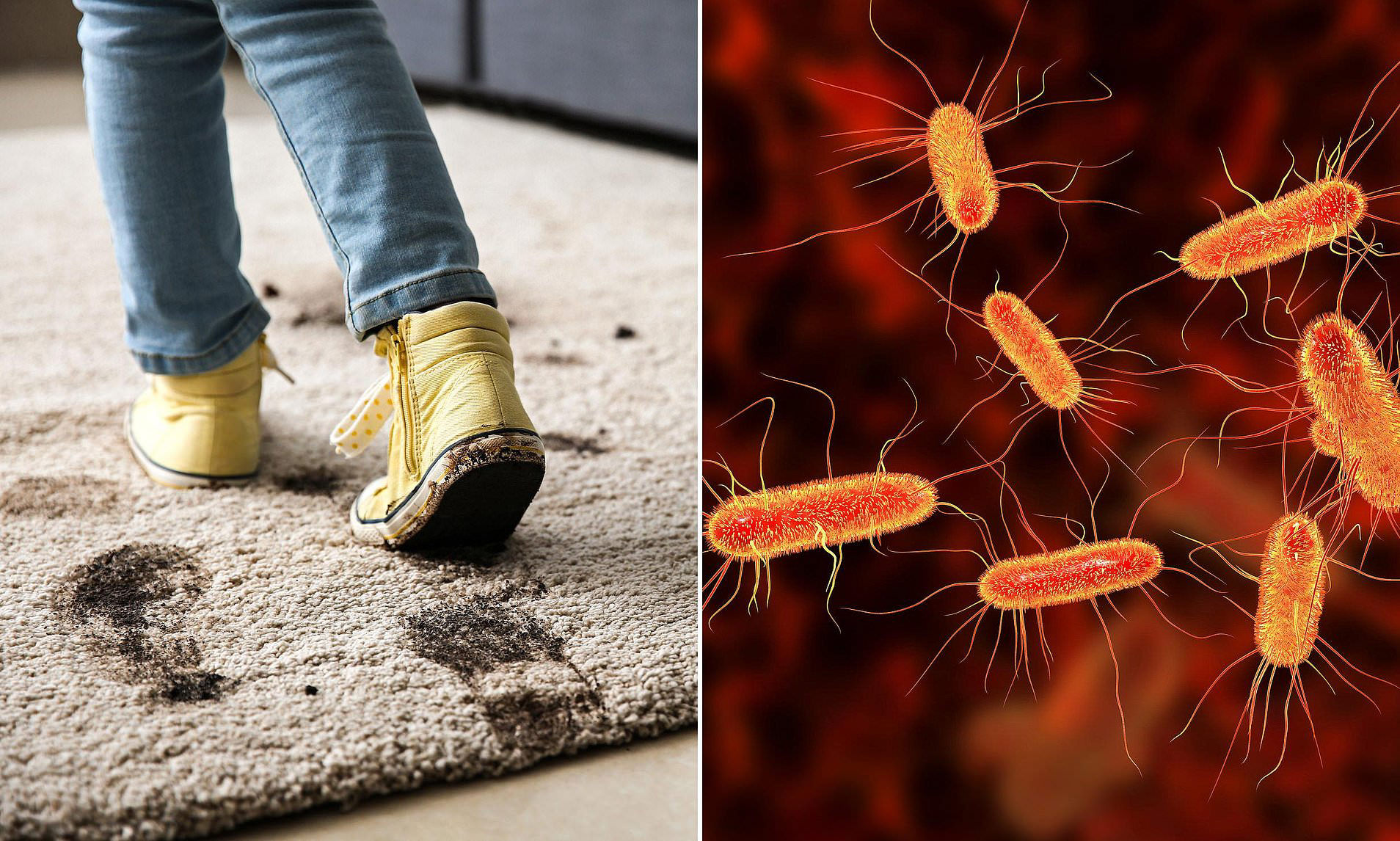 Expert reveals why you should NEVER wear shoes in the house... Expert reveals why you should NEVER wear shoes in the house...