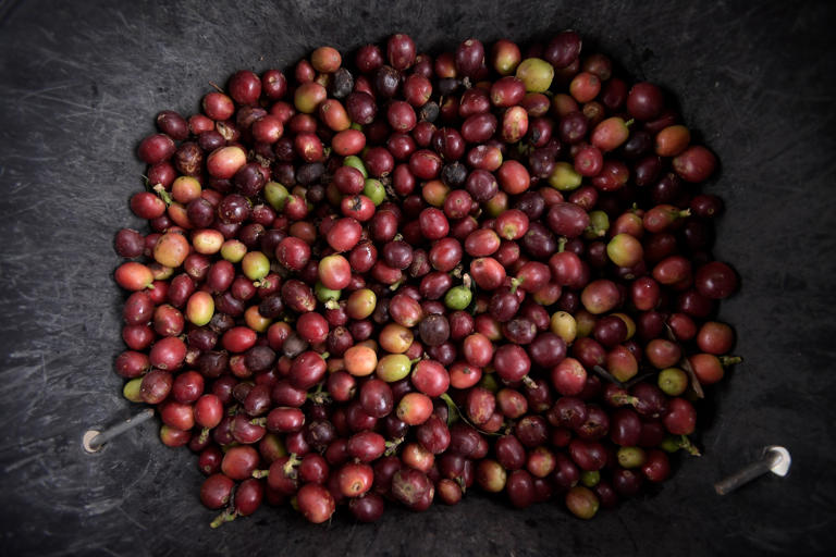 « Ils m'ont tourné le dos », affirme le milieu central Cheikh Ndoye à ...