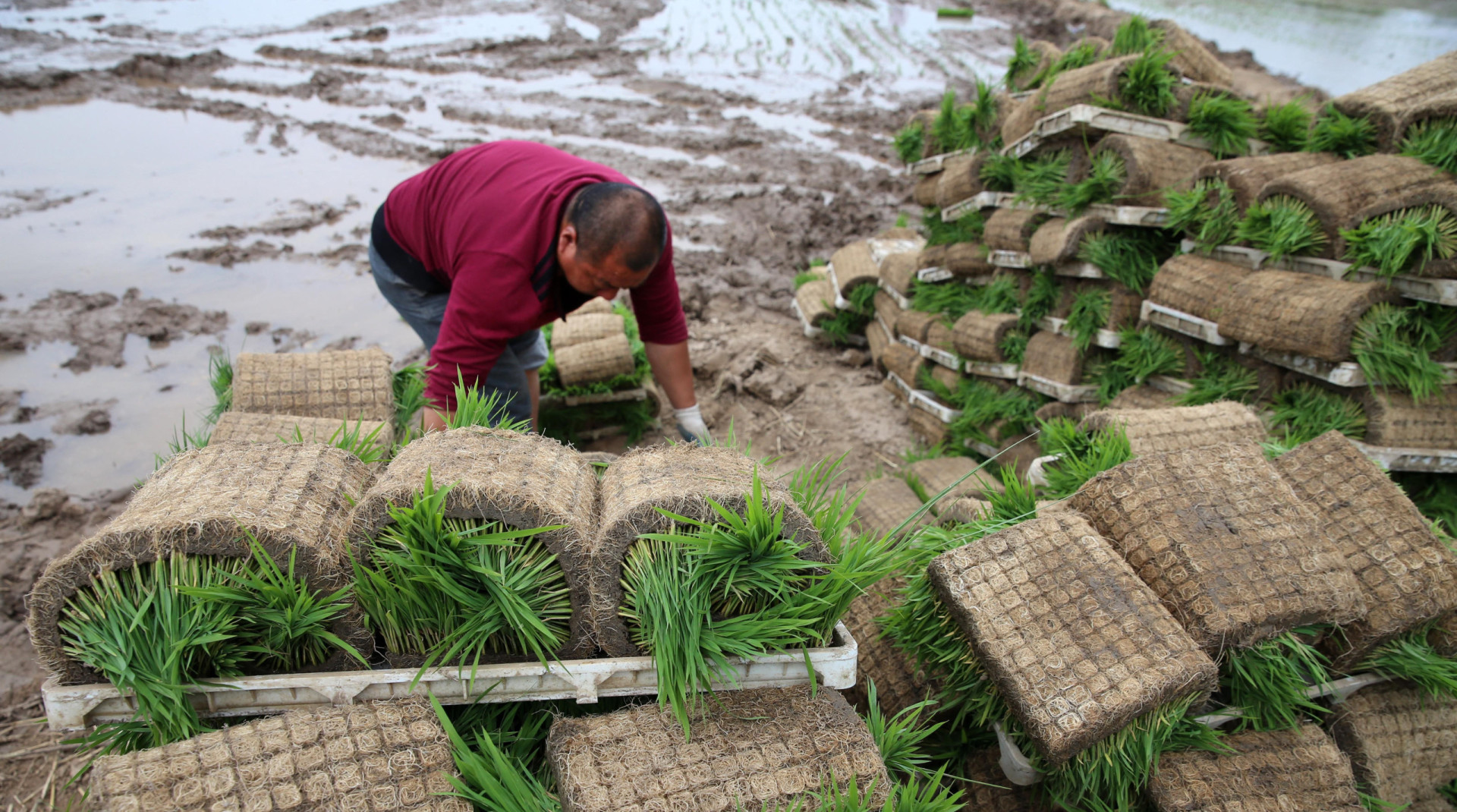 Young people are ditching cities for this rural China commune