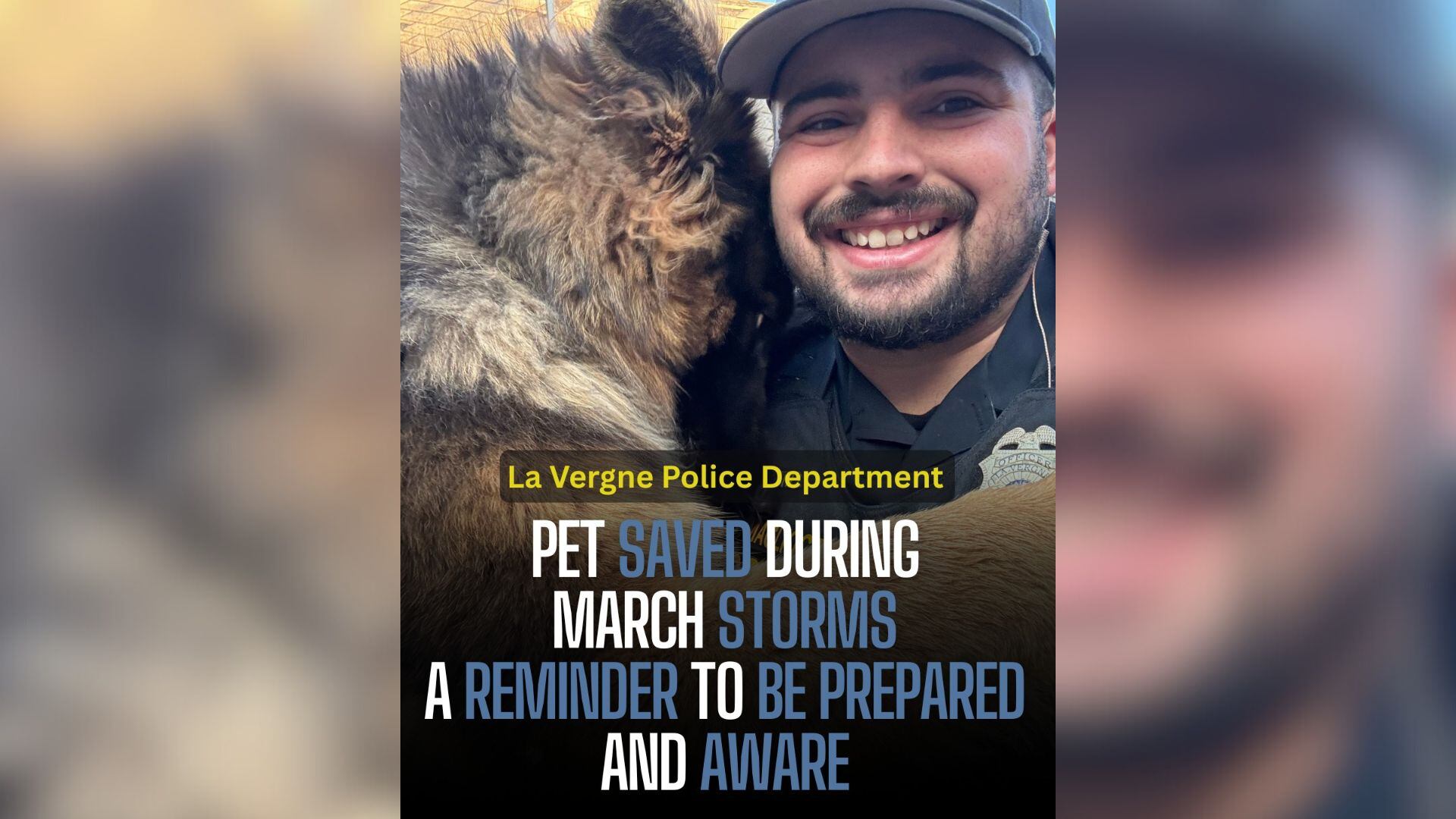 Police officer rescues dog tied to tree during severe weather in TN