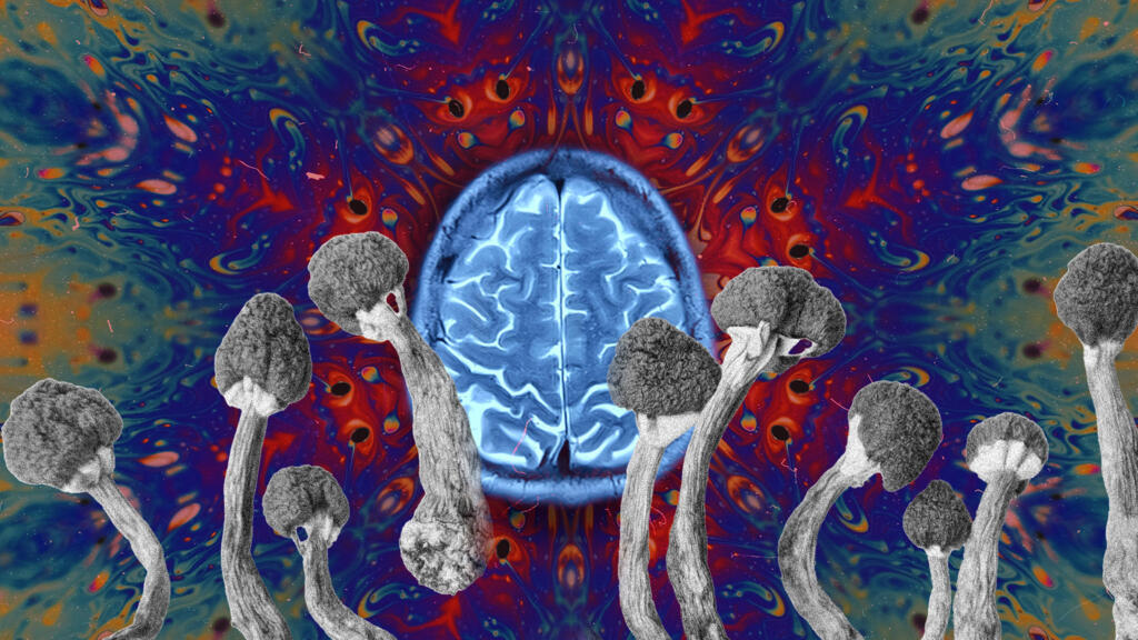 Dépression, addictions, fin de vie... Les psychédéliques, du trip ...
