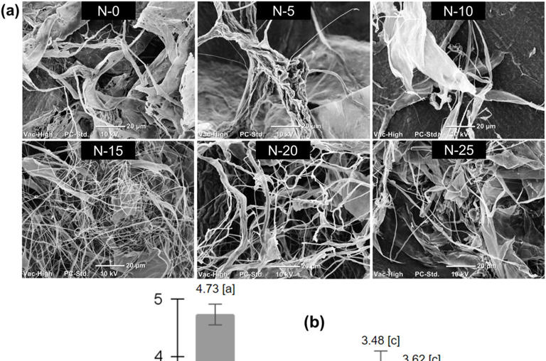 Plants over plastics: Researchers create biodegradable cellulose-based ...