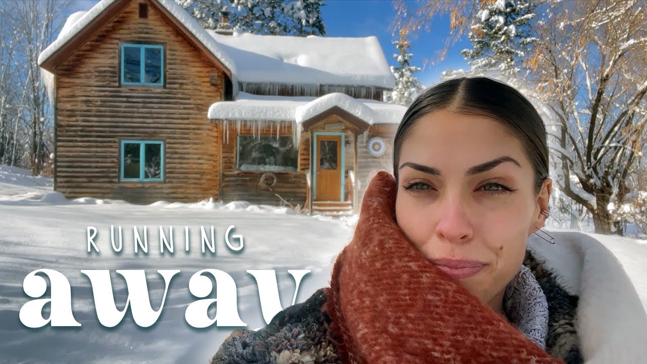 Living to DIY with Rachel Metz - MSN