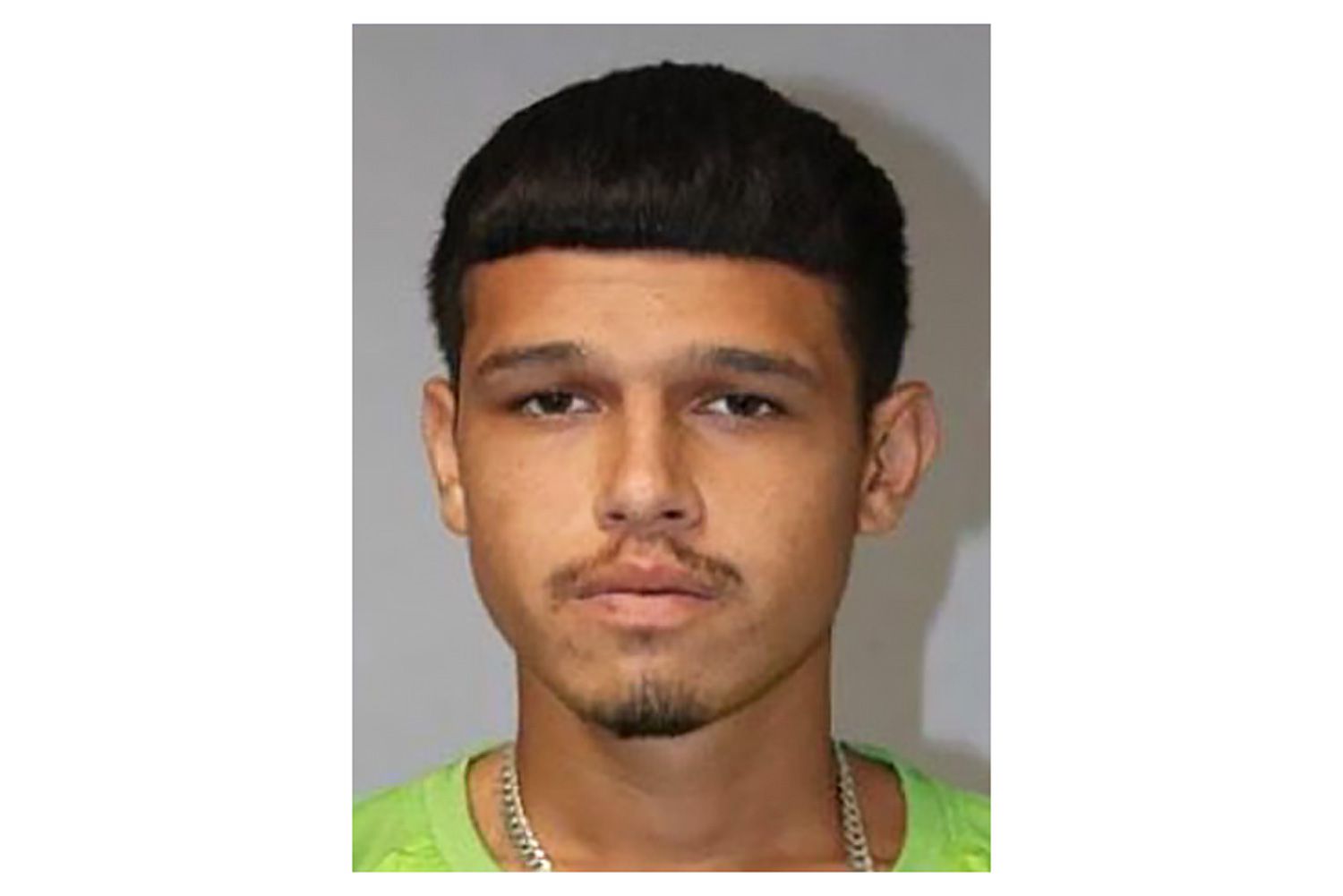 Hawaii Men Sentenced for Abducting, Killing Beloved Pet Pig to Cheat in ...