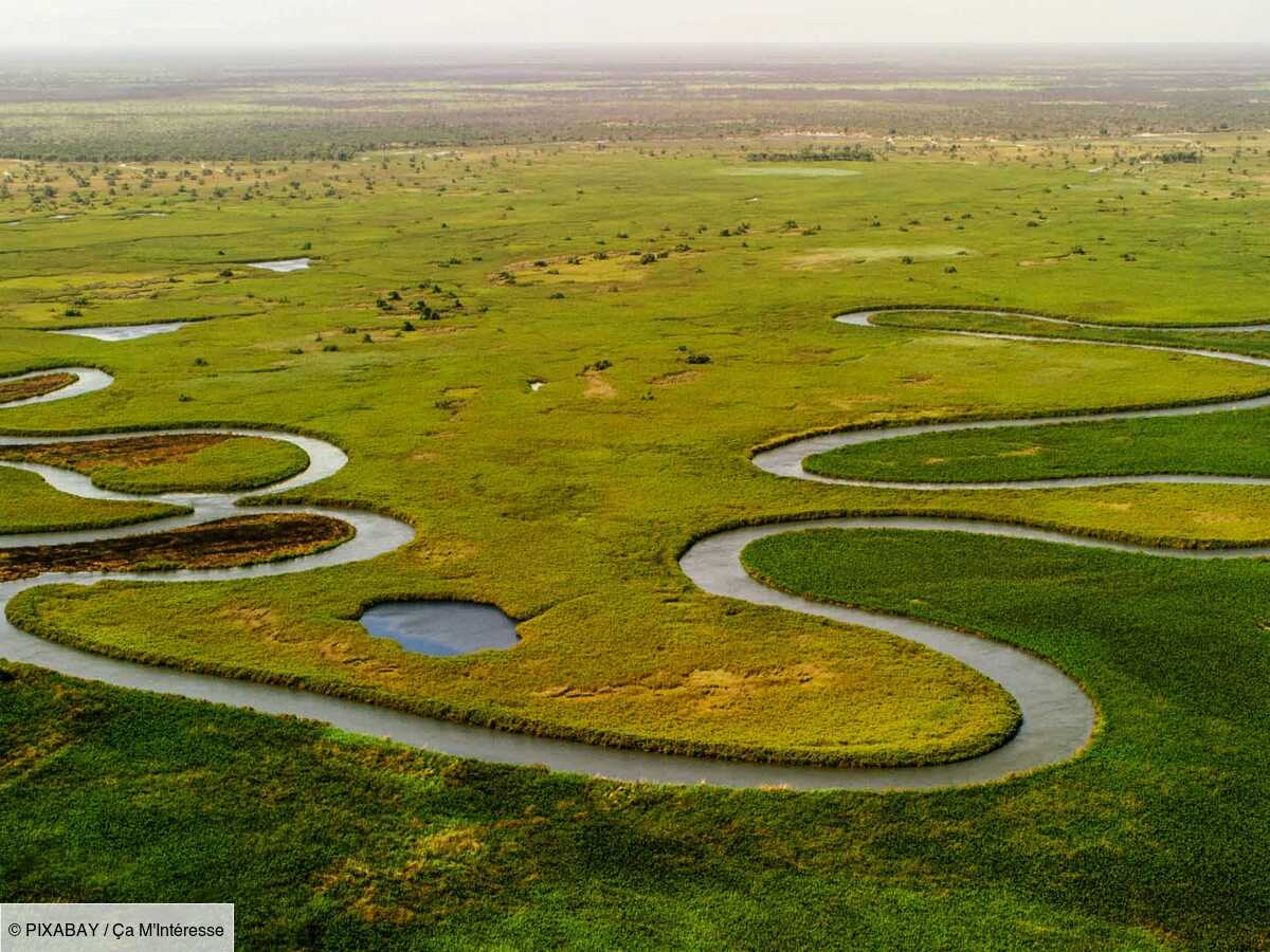 Ce fleuve est si grand qu’il traverse 10 pays