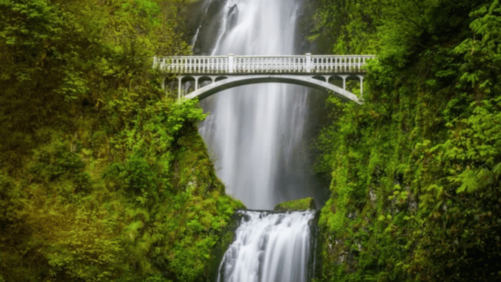 15 Best Spots for Nature in Oregon