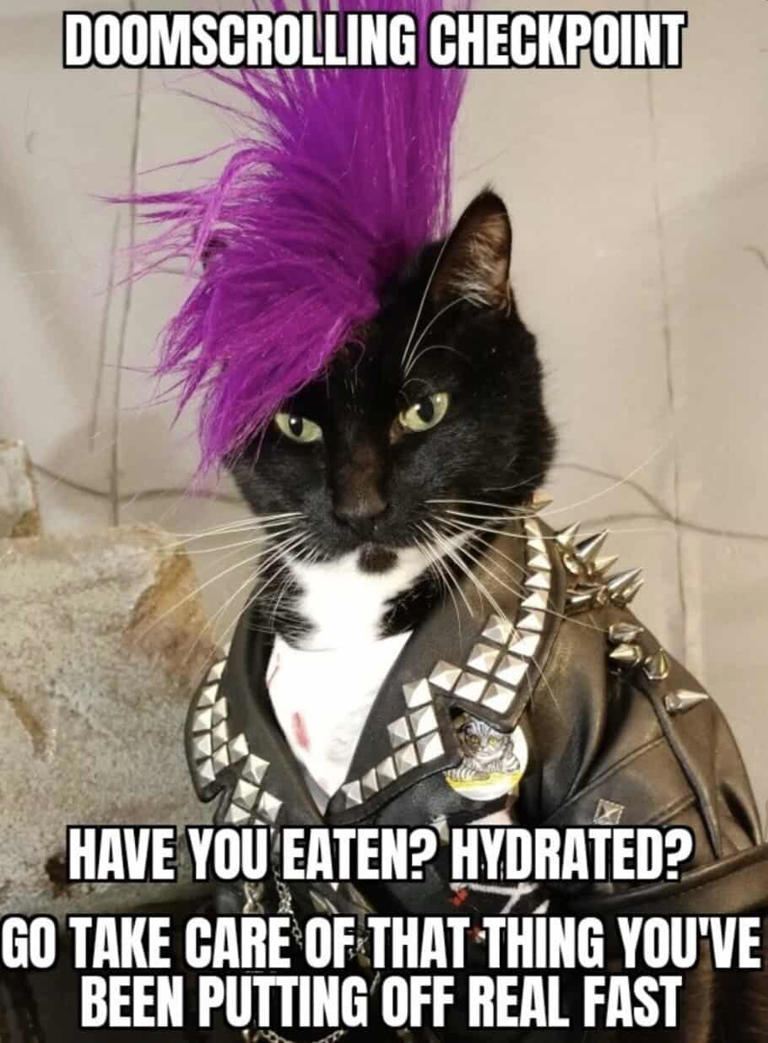 37 Funniest Doom-Scrolling Memes For The Chronically Online