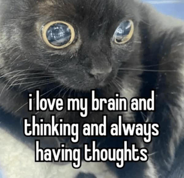 37 Funniest Doom-Scrolling Memes For The Chronically Online