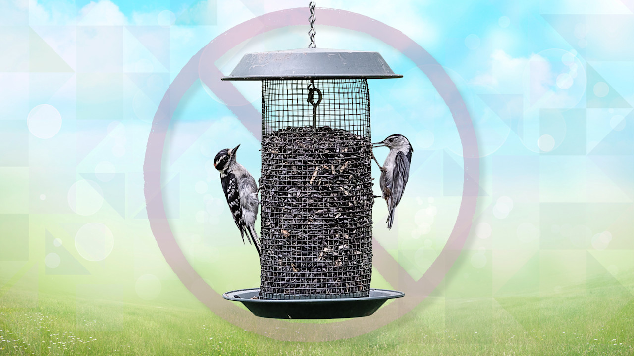It's spring: Time to take down that bird feeder